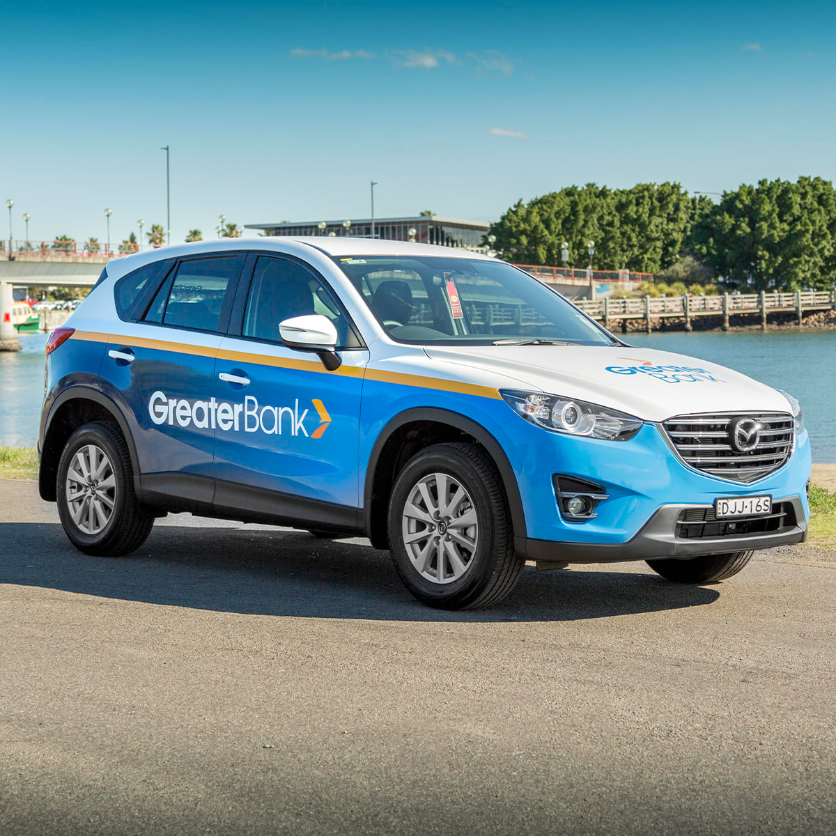 Small to Large Vehicle Graphics, Decals and Wraps – HIVIS Group